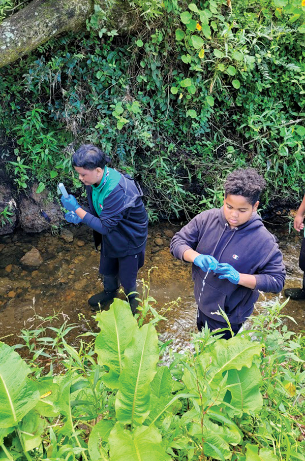 Embracing eDNA technology to restore local stream – Education Gazette