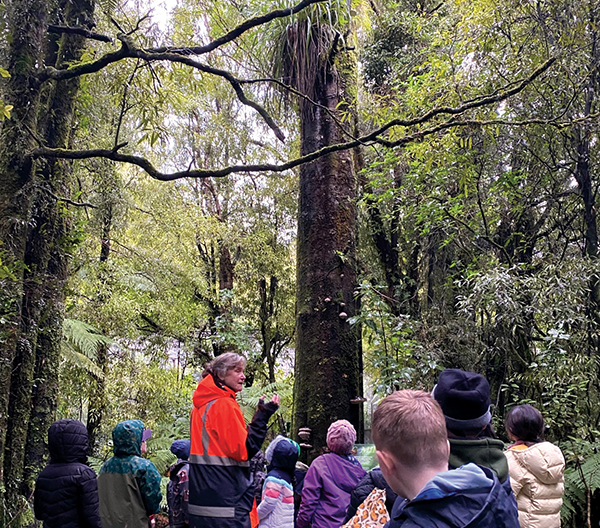 Learning to be kaitiaki at Whakarongo School – Education Gazette