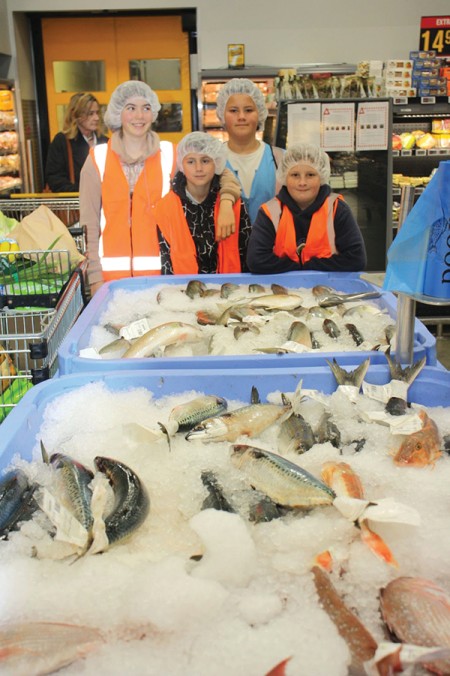 Building careers and aspirations at Matakohe School – Education Gazette