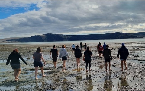 Poutama o Hauora Hokianga: Rangatahi take first steps toward healthcare ...