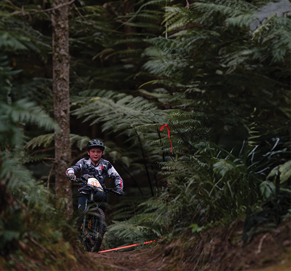 Rip, Grip & Whip: Learning in action – Education Gazette