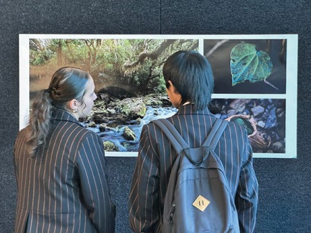 Motueka High School's achievements across creative disciplines ...