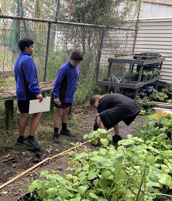 Measuring the mighty: Real-world maths in action – Education Gazette